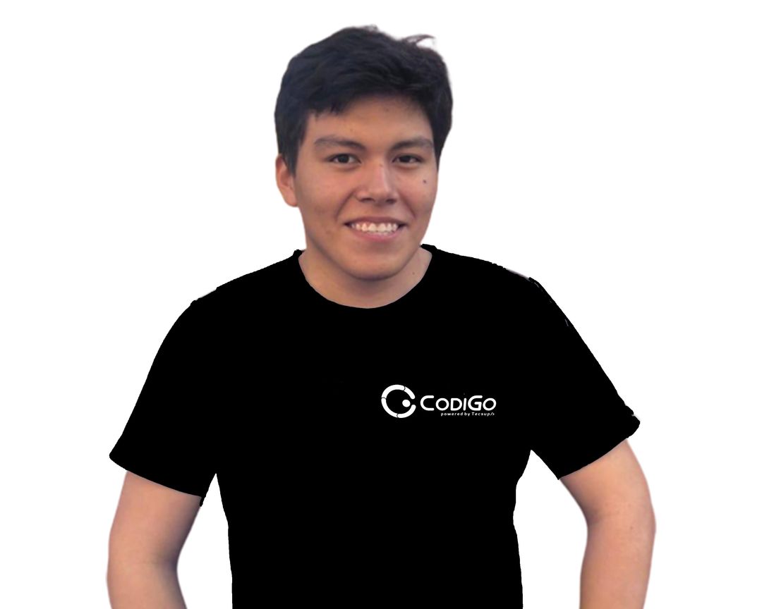 Programación FRONTEND | BACKEND | React | Javascript | Python | Base de datos